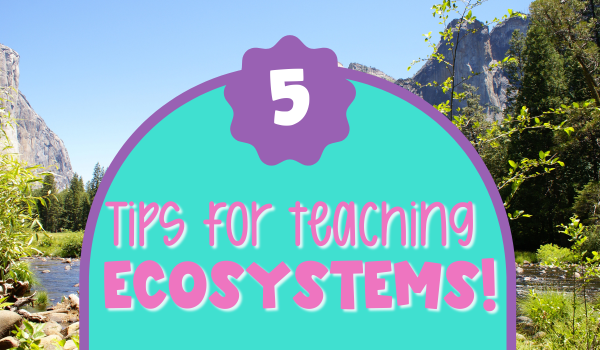 5 Tips for Teaching Ecosystems to 3rd Grade Students - That One ...